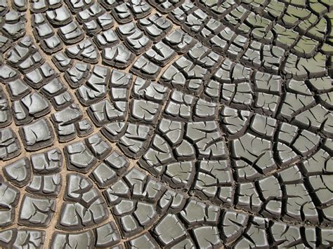 Picture Of The Day Desiccation Cracks Twistedsifter