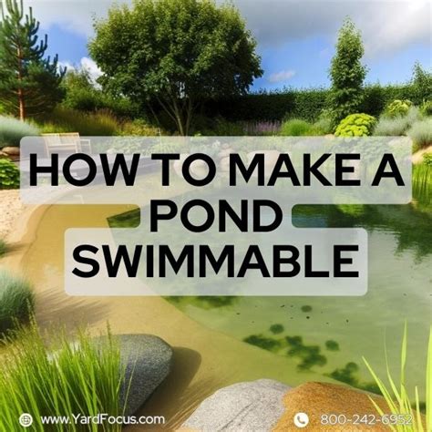 How To Make A Pond Swimmable Diy Guide — Yard Focus