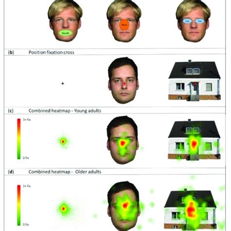 Position And Heatmap Fixation Cross A Areas Of Interest Were Created