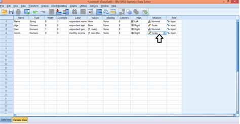 The Awakener Introduction To SPSS Part 2
