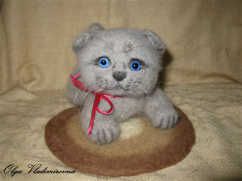 Шотландская Кошка Игрушка Лучшая Фото Подборка