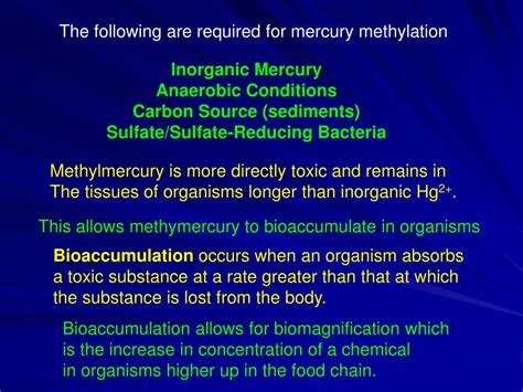Ppt Toxic Bioaccumulative Chemicals Powerpoint Presentation Free Download Id 1014581