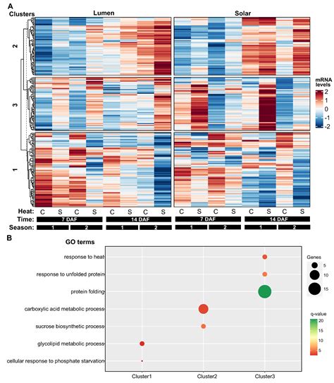 Ijms Free Full Text Transcriptome And Physiological Analysis Of