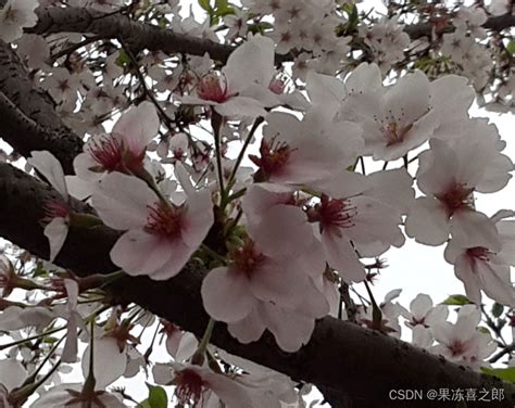 Unityshader入门精要——高斯模糊unity 高斯模糊 Csdn博客