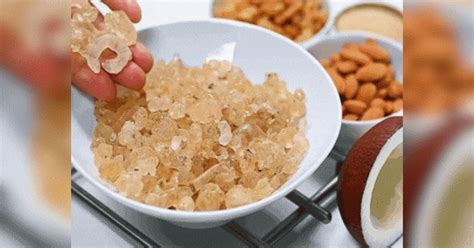 Gond Benefits ये पत्थर जैसी चीज है गंभीर बीमारियों का इलाज जानें फायदे