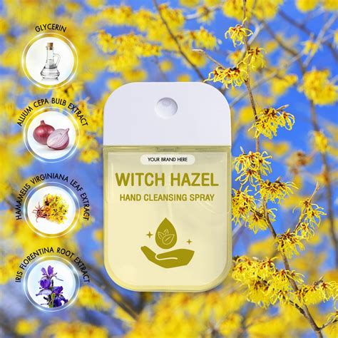 Anti Bac Cleansing Moisture Hand Spray Private Label And Oem Services