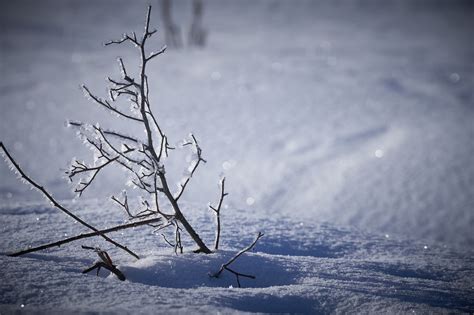 겨울 산 Pixabay의 무료 사진 Pixabay