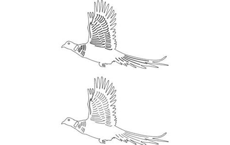 Birds Flying In Pair Free Dxf File Free Download Files