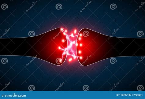 Synapse Is A Structure That Permits A Neuron Or Nerve Cell To Pass An Electrical Or Chemical