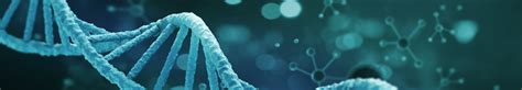 About Rna Extraction Methods The Past And Present You Dont Know