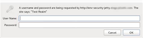 Secure Access To Your Jetty Web Application Virtuozzo