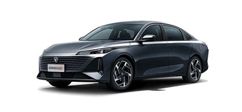 ظل الجزيرة نتائج البحث