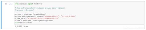 python selenium 自动化 操作已启用的chrome浏览器实例演示，chrome启用调试端口方法 阿里云开发者社区