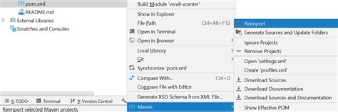 java why intellij do not find any maven dependencies in pom xml