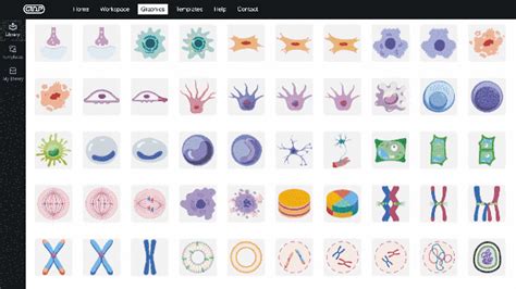 科研绘图 生物医学通用绘图平台（gdp） 知乎