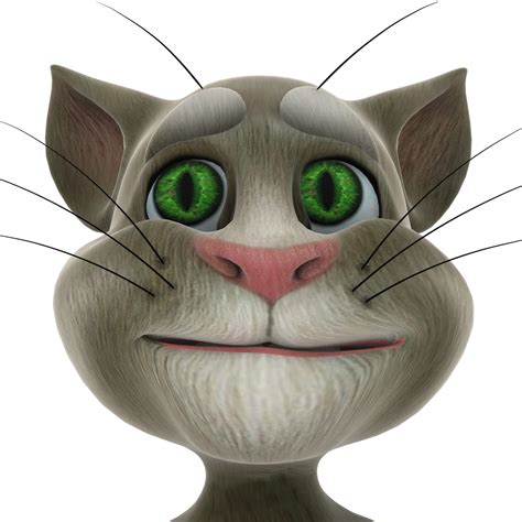Talking Tom Cat 2010 Talking Tom And Friends Wiki Fandom