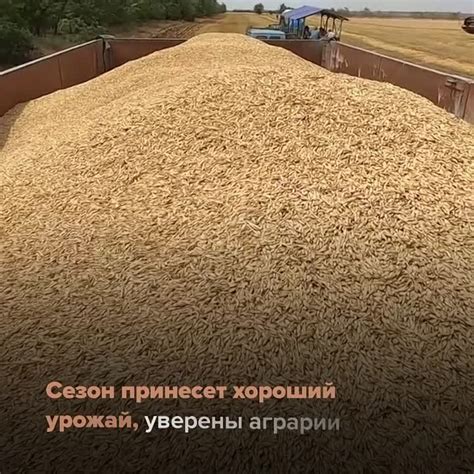 Более 1 миллиона гектаров земли засеют в Администрация Ишимского района