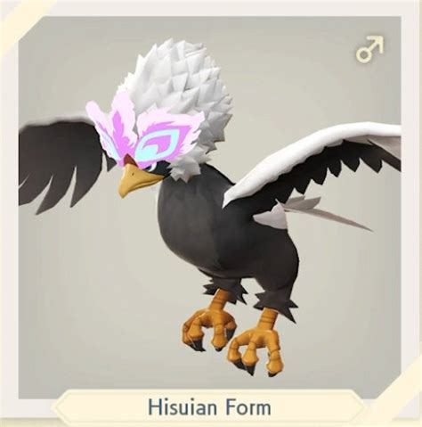 Rufflet Evolution