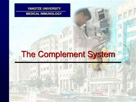 PPT The Complement System PowerPoint Presentation Free Download ID