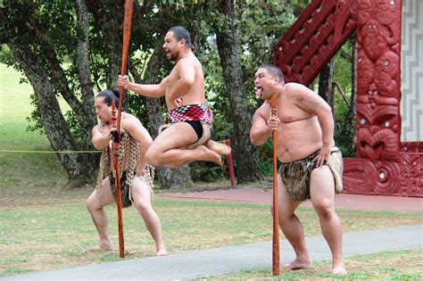 100000 Free Maori Art And Art Images Pixabay