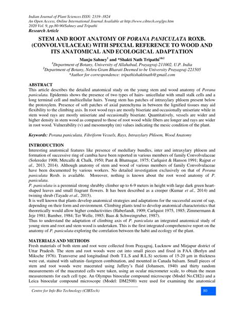 Pdf Stem And Root Anatomy Of Porana Paniculata Roxbconvolvulaceae