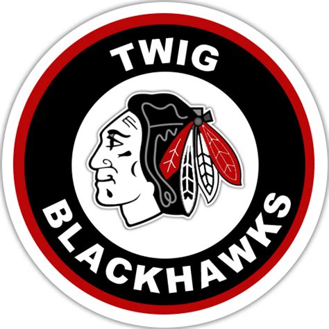 Assessments Twig Hockey