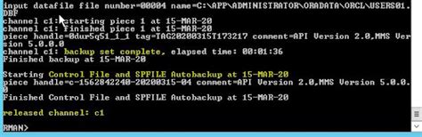 Remote Infrastructure Management Netbackup Performing Oracle Database Restores Using Rman Client