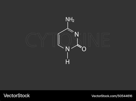 Polymer Molecular Skeletal Chemical Formula Vector Image