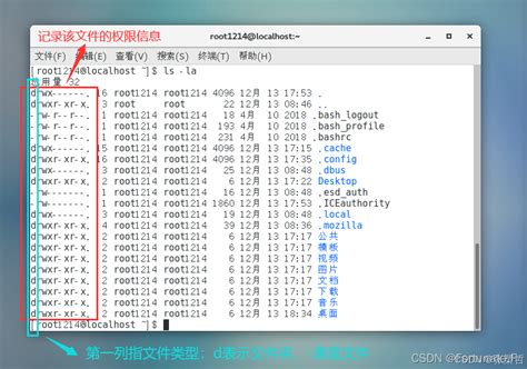 shell基础知识（linux） csdn博客