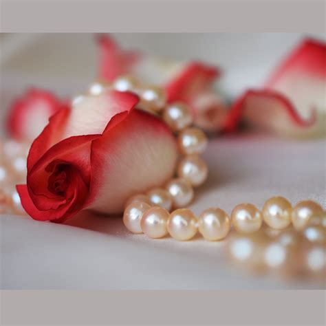 Sell My Tiffany Co Jewelry Free Photo On Pixabay Pixabay