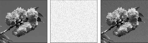 Image With The Pseudo Random Noise Embedded Right Is The Result Of Download Scientific