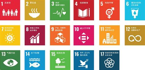 Sustainable Development Goals Chinese Version 29694854 Vector Art At