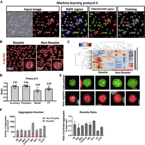 Machine Learning Protocol Ii For Evaluating Polarization Capacity A Download Scientific