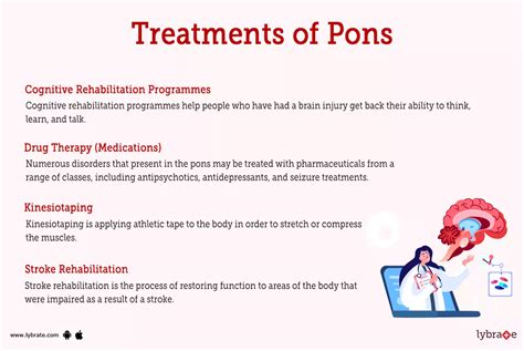Pons Human Anatomy Image Functions Diseases And Treatments