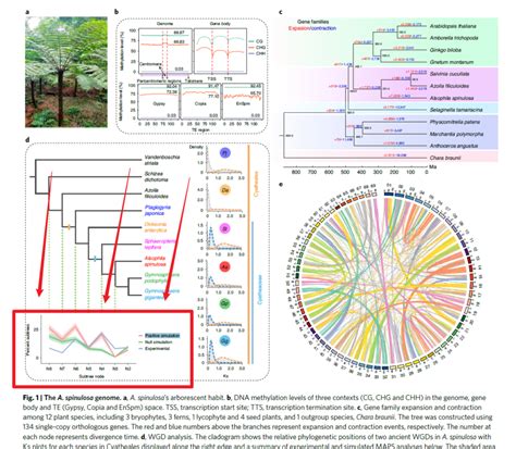 跟着nature Plants学作图：r语言ggplot2画分组折线图和置信区间 腾讯云开发者社区 腾讯云