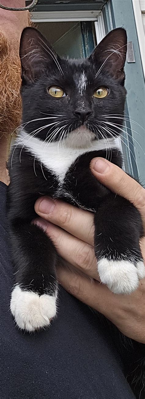 Peach Paisley Perigrine Album On Imgur