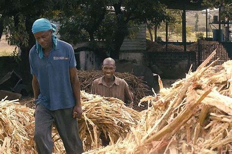 Clairin Sonson The Spirit Of Haïti