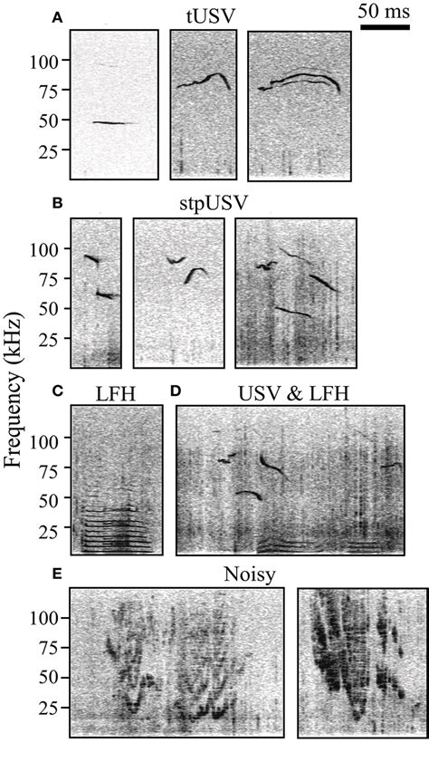 Proportions Of Vocal Categories Differ Among Contexts Each Line Plots