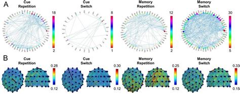 Results From The Connectivity Analysis A Alpha Oscillation Based