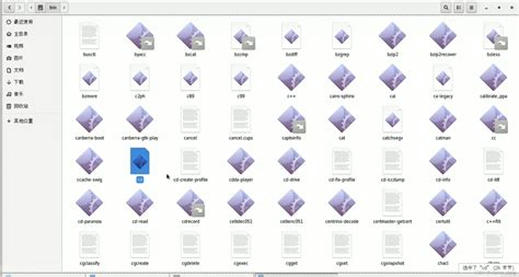 linux目录结构 csdn博客
