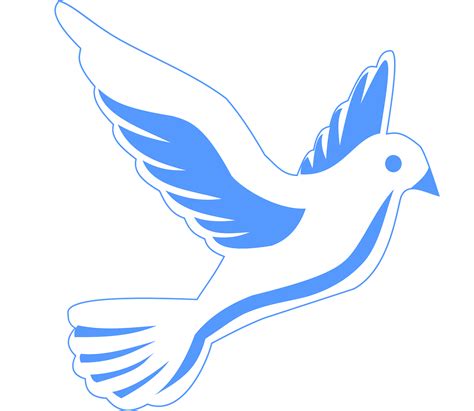4000 Free Dove And Bird Images Pixabay