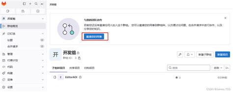 gitlab群组及项目仓库搭建 csdn博客