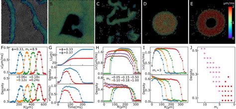 Activity Waves And Freestanding Vortices In Subcritical Active Matter Iramis