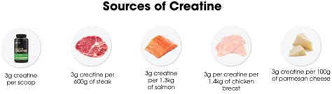 The Essential Guide To Creatine For Enhancing Athletic Performance