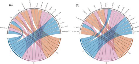 Circular Plots Highlighting The Most Important Predictors For A The Download Scientific