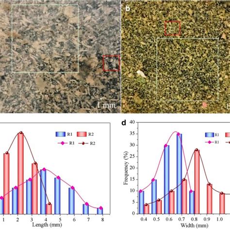 Microalgal Bacterial Granular Sludge Process Outperformed Aerobic Granular Sludge Process In