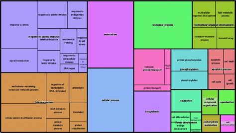 Gene Ontology Biological Process Treemap Gene Ontology Biological