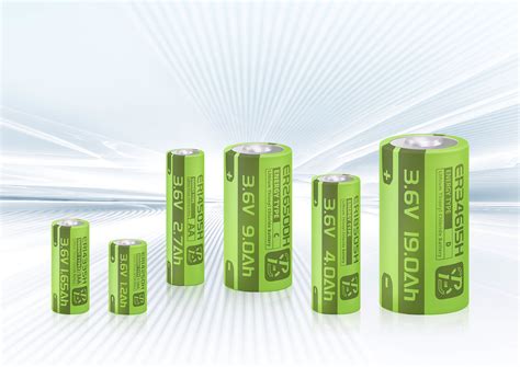 Er Li Soci2 Battery Downhole Batteries Dd Cells Smoke Detector Water Meter Batteries