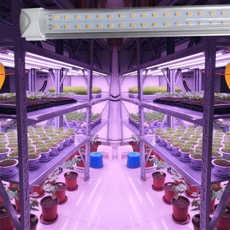10w 72w Led Grow Light Full Spectrum Plant Growing Lamp For