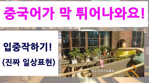 81 중작 연습 중국어 단어 표현 2 Youtube